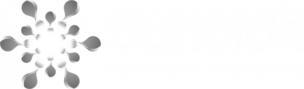 Sunoida: Our Profile